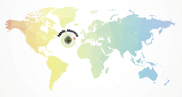 Putting Agadir on the Map: The Rise of Argan Oil – AgadirInt